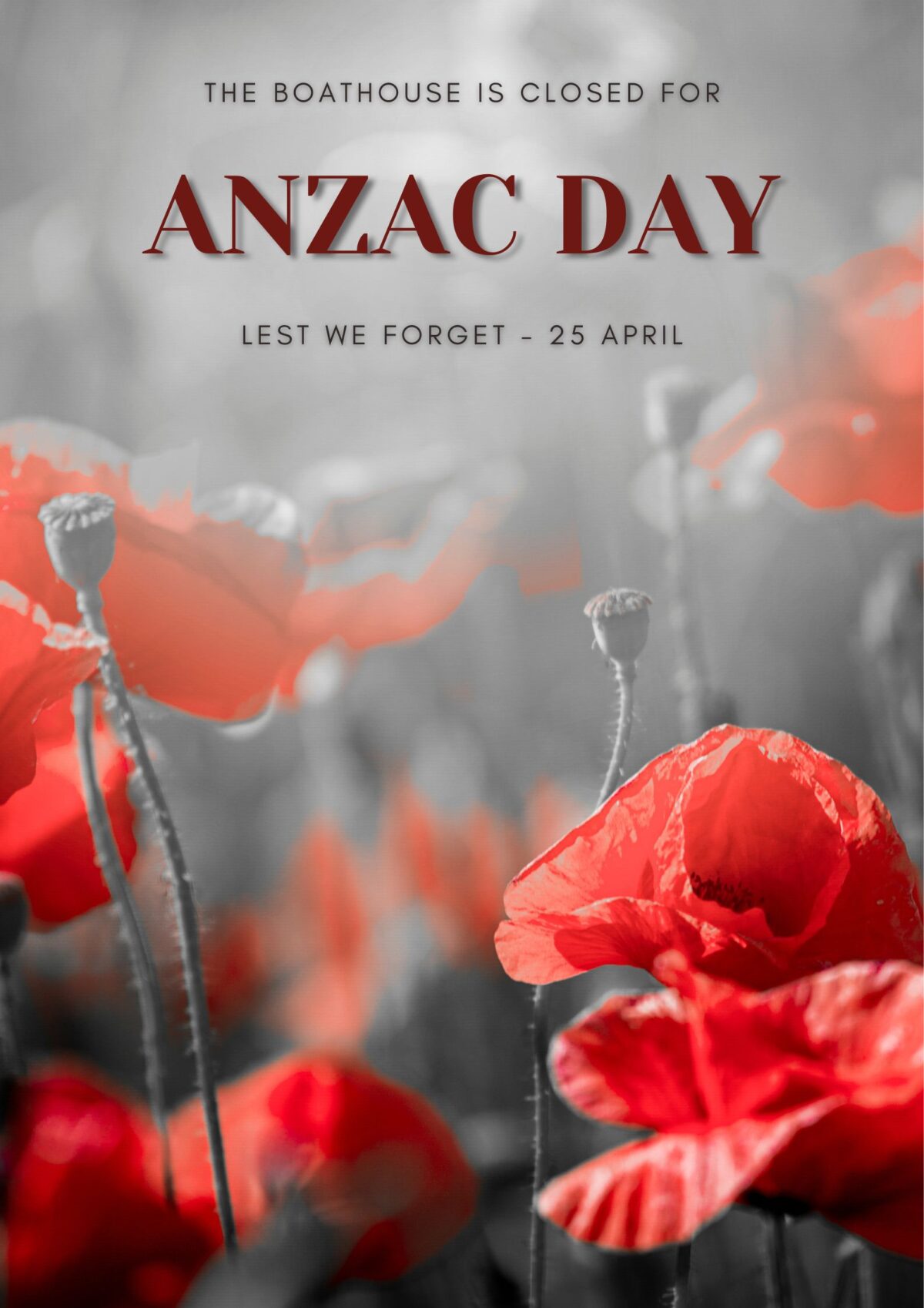 Home - The Boathouse Nelson